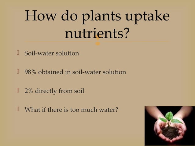 Plant nutrients | PPT