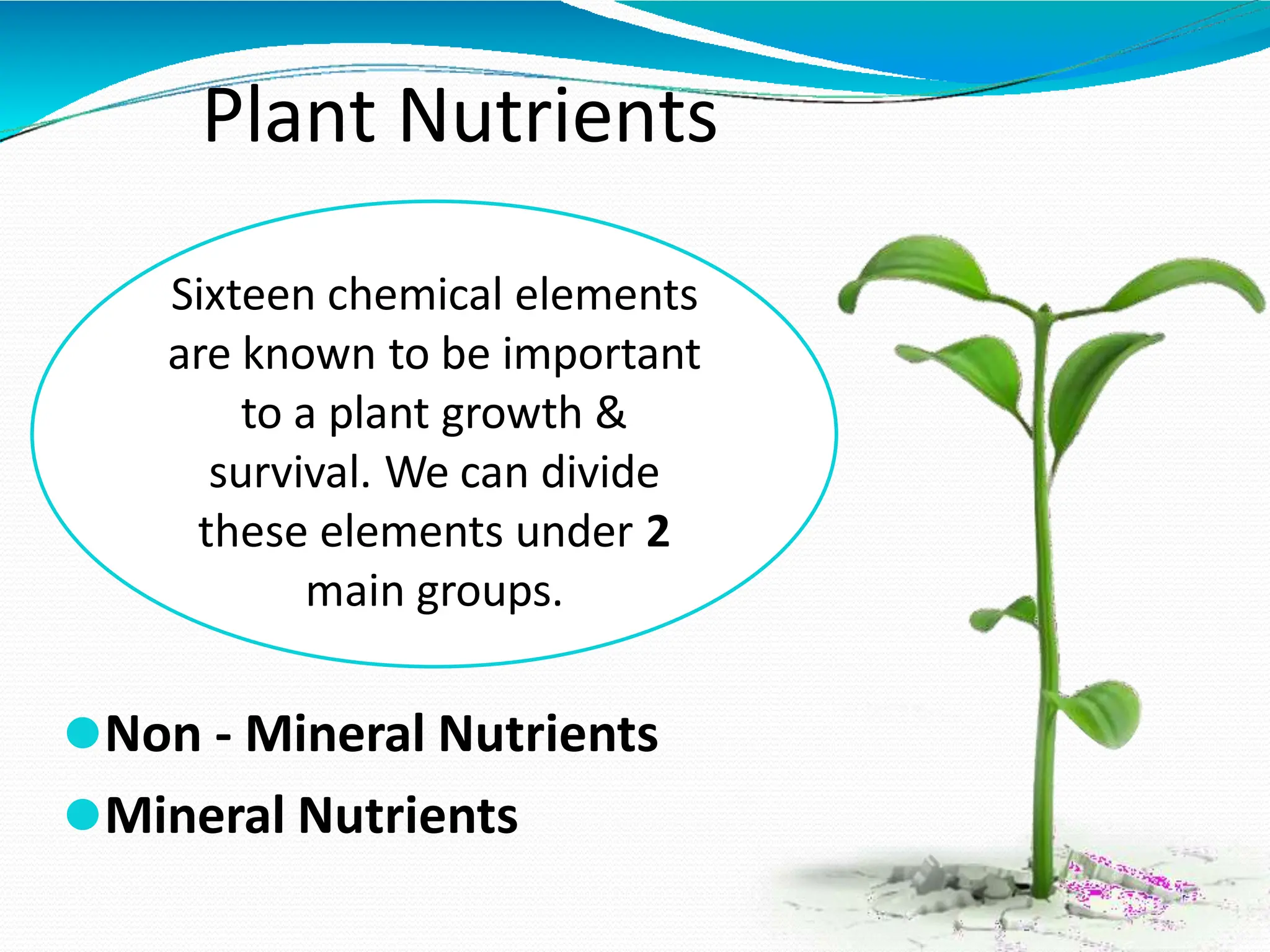 plant nutrients basics and different type of methods.pptx