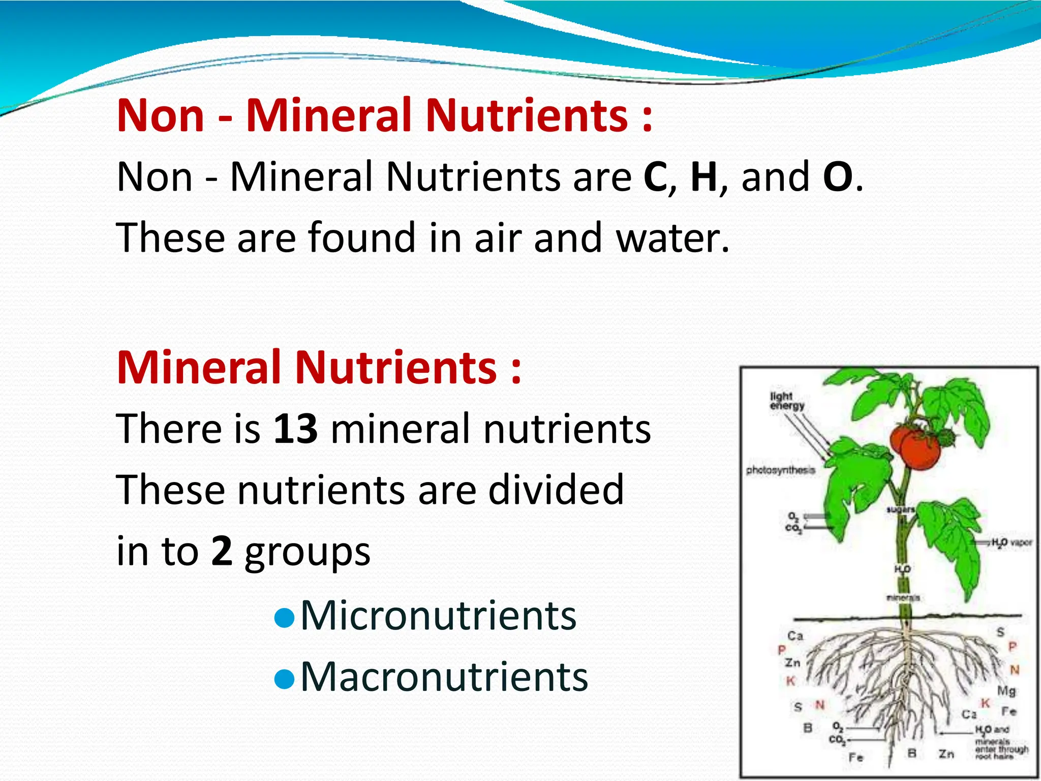 plant nutrients basics and different type of methods.pptx
