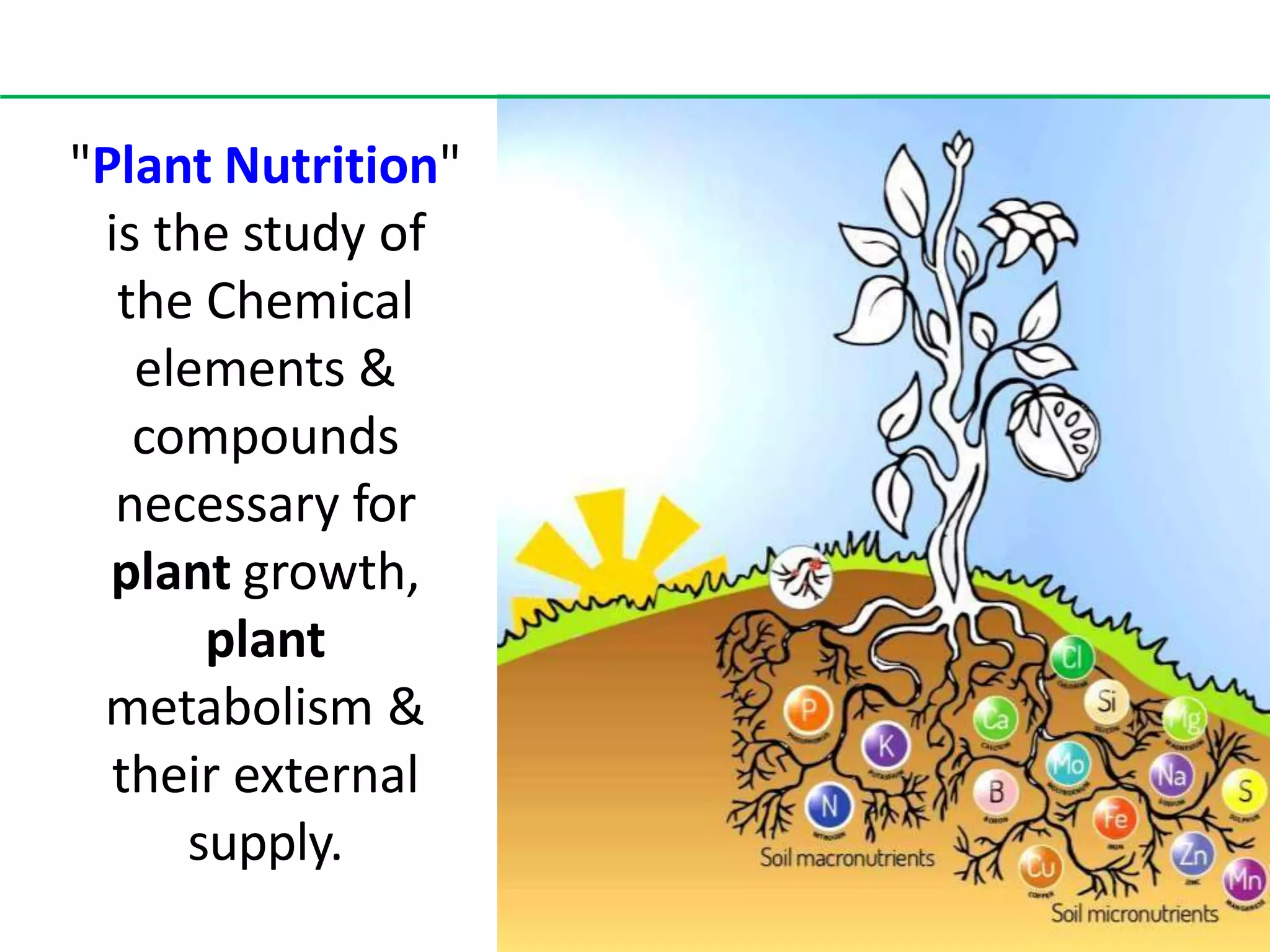 Plant nutrients deficiency symptoms | PPTX