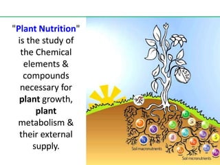 Plant nutrients deficiency symptoms | PPTX