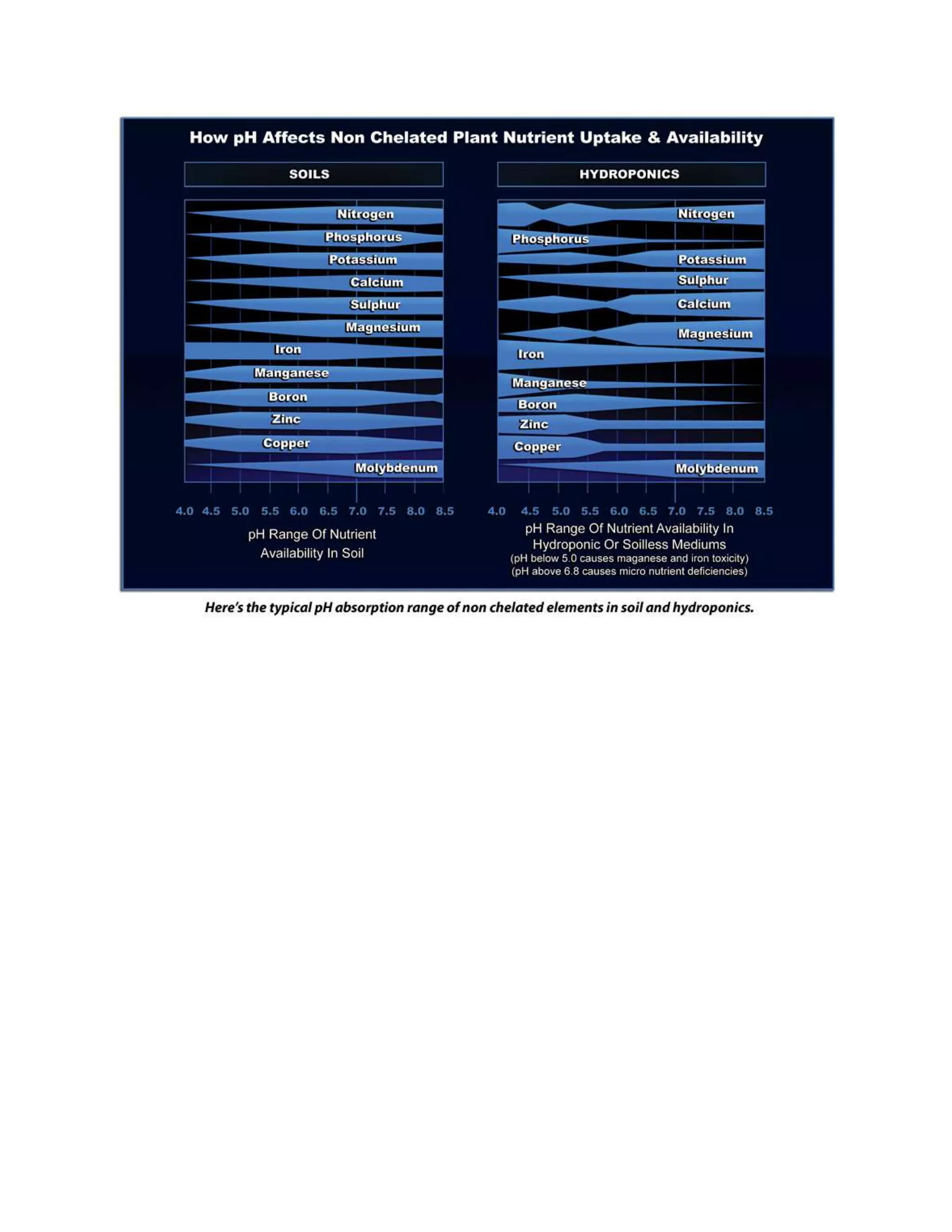 Plant Nutrient Uptake and Availability | DOCX