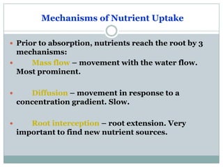 Plant nutritents | PPT