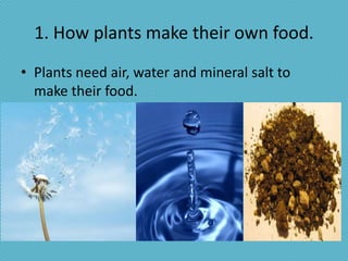 Plant nutrition | PPTX