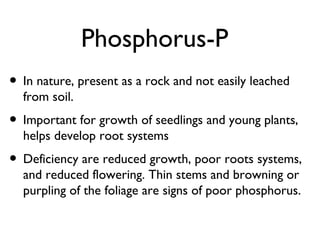 Plantnutrition | PPT