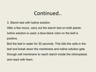 Plant nutrition | PPTX