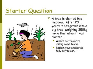 Plant nutrition | PPT