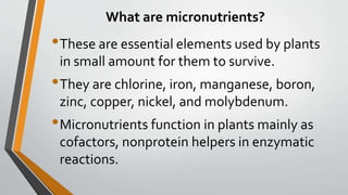PLANT_NUTRITION_025816.pptx