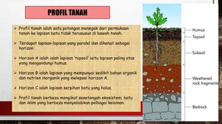 Living Organism, Soil Profile | PPTX