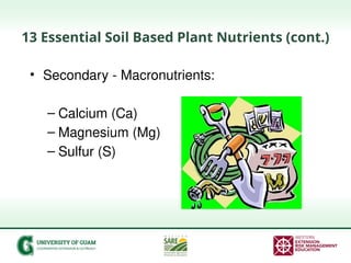 Powerpoint Plant presentations Nutrition for Growing | PPTX