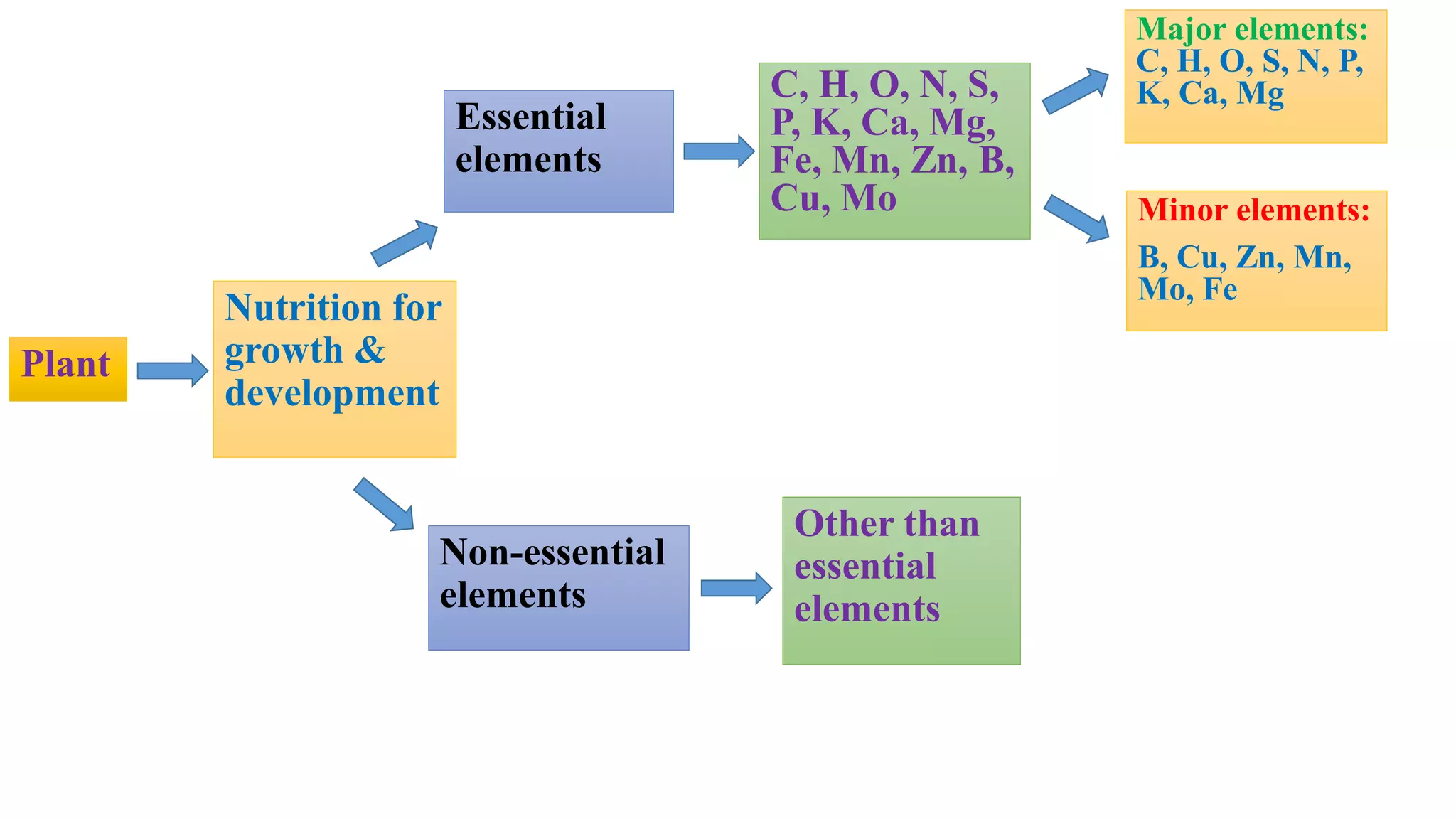 Plant nutrition major elements | PPTX