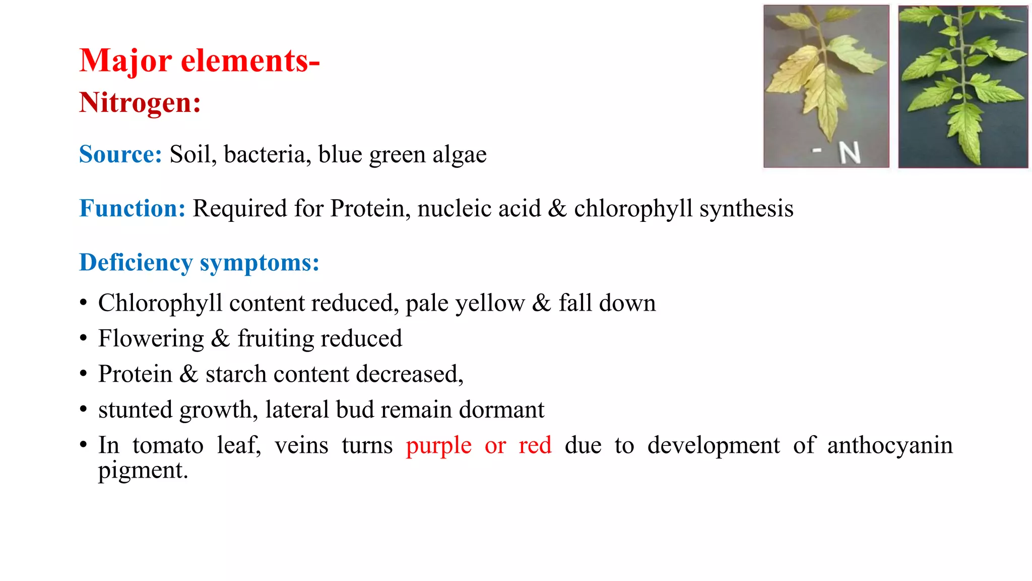 Plant nutrition major elements | PPTX