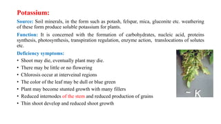Plant nutrition major elements | PPTX | Gardening | Home & Garden