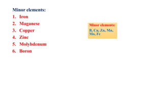 Plant nutrition minor elements | PPT