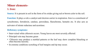 Plant nutrition minor elements | PPT