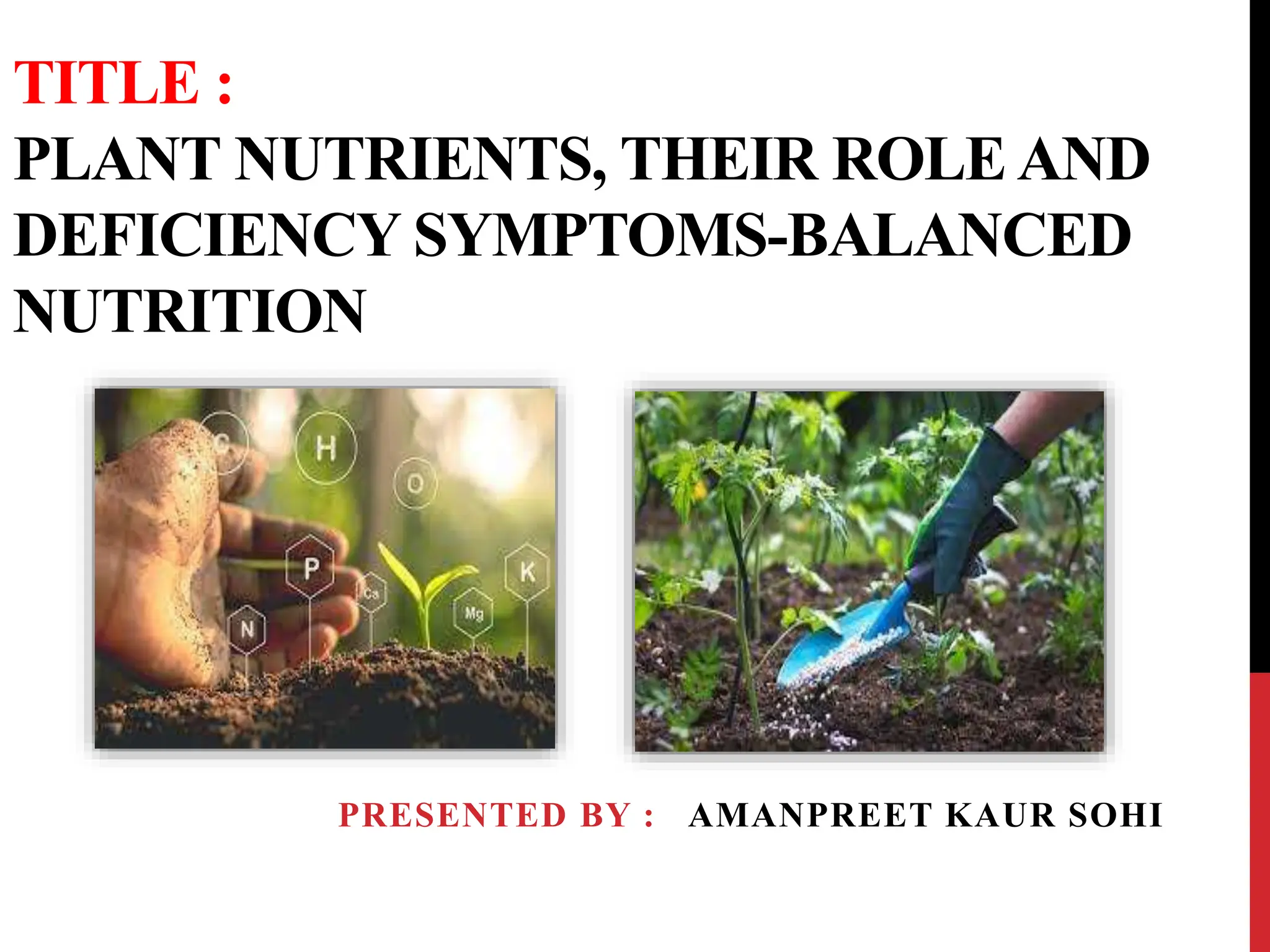 plant nutrition, their role and deficiency symptoms - balanced ...