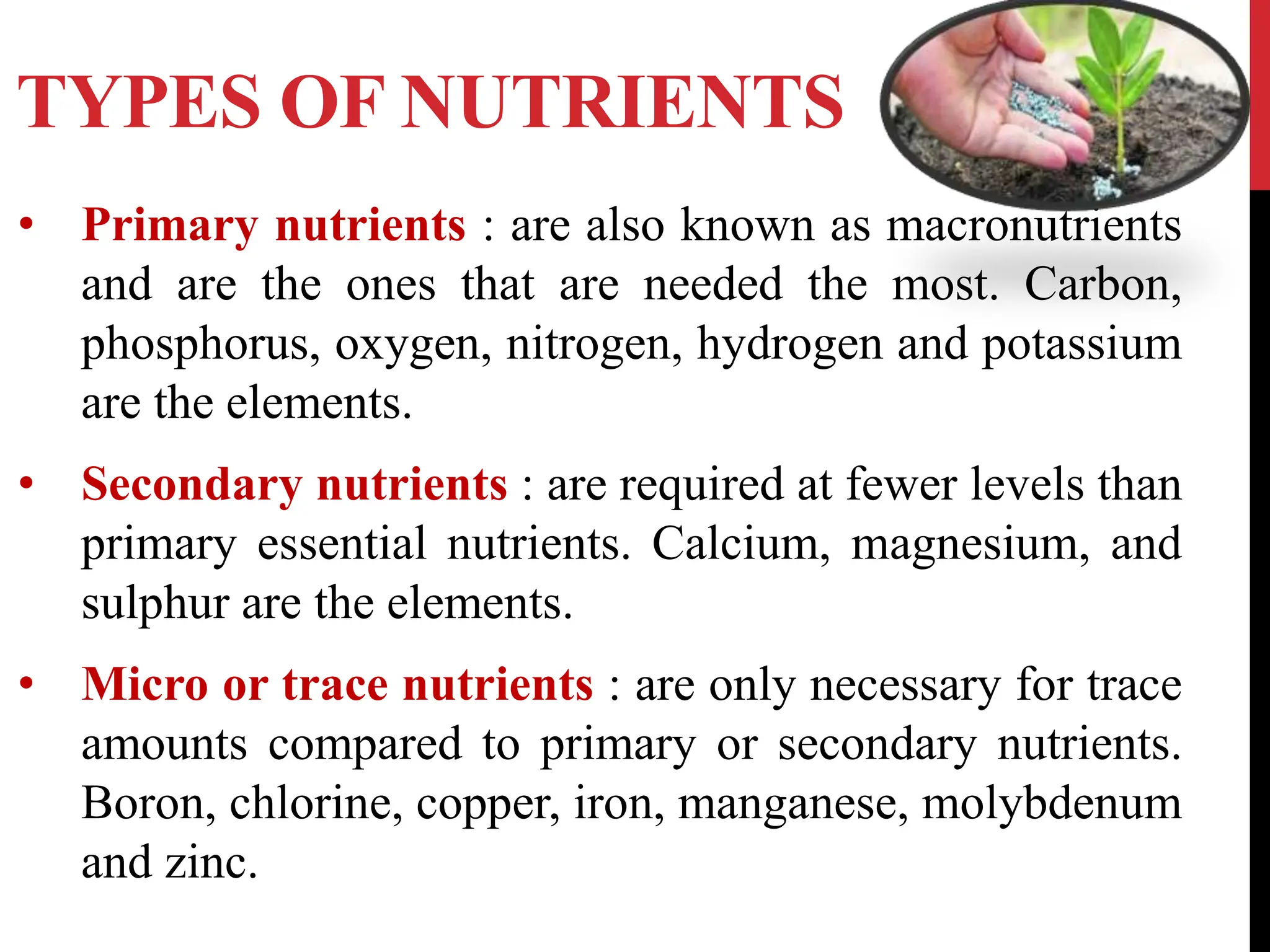 plant nutrition, their role and deficiency symptoms - balanced nutririon.pptx