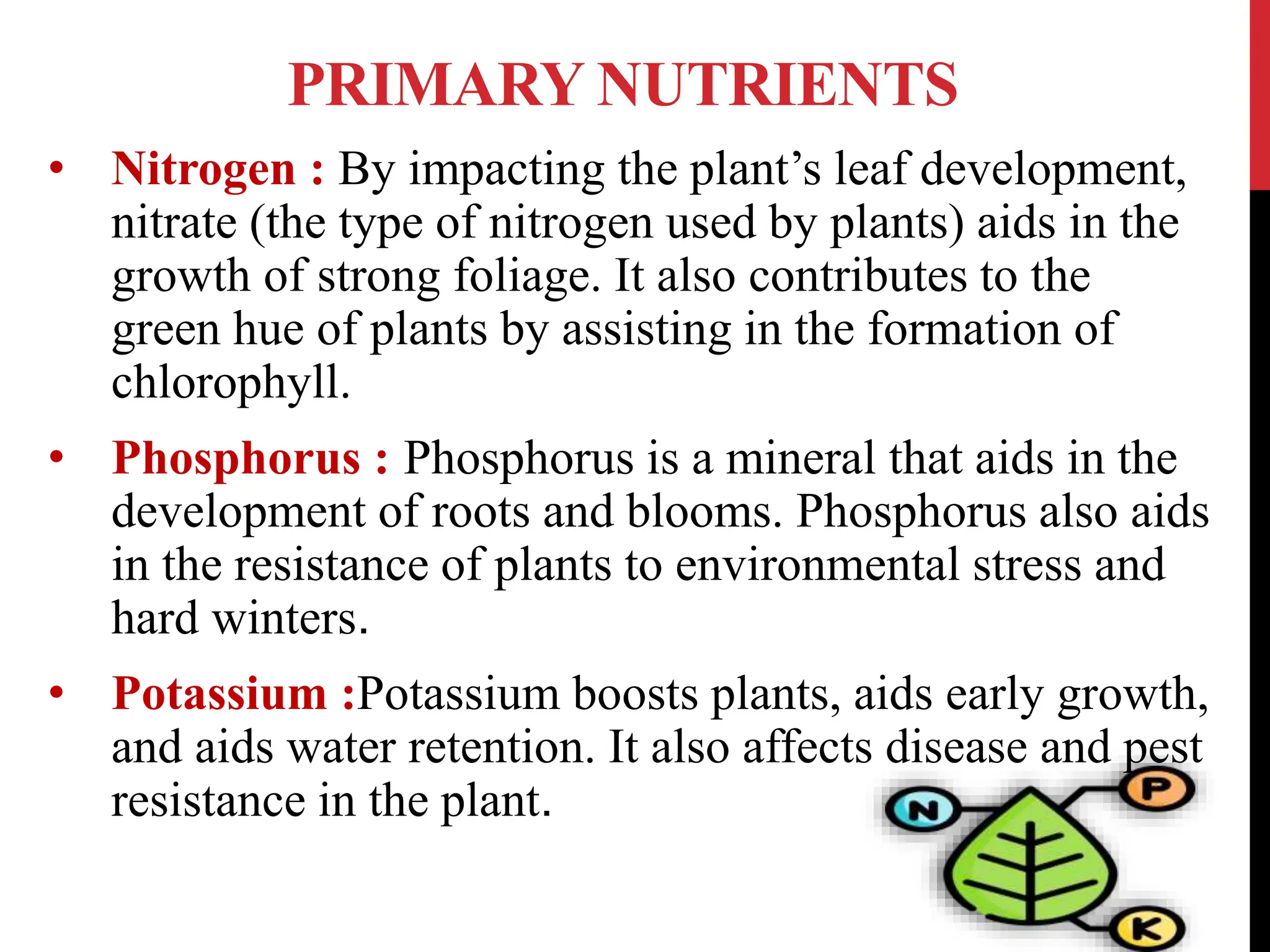 plant nutrition, their role and deficiency symptoms - balanced ...
