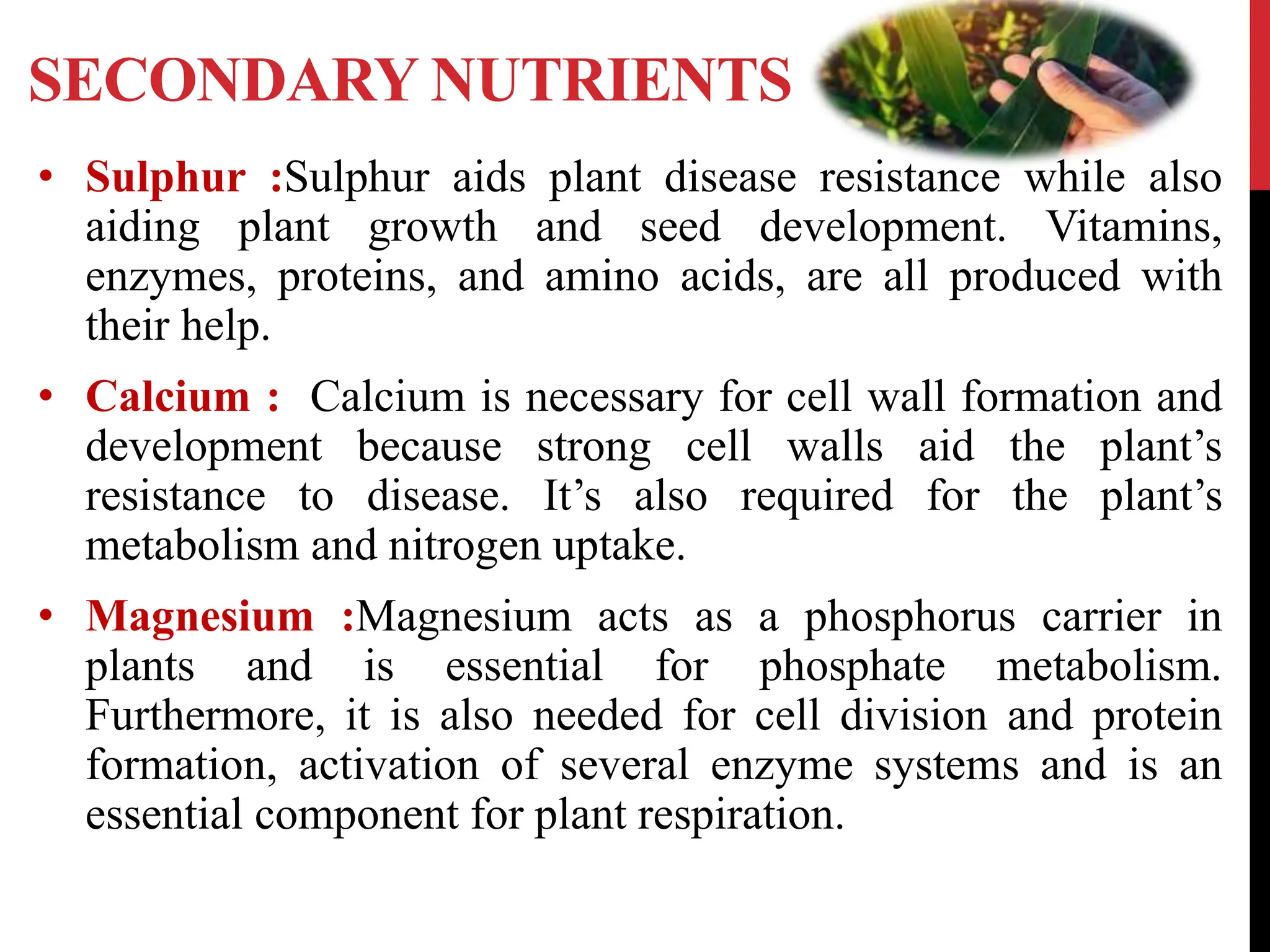 plant nutrition, their role and deficiency symptoms - balanced ...