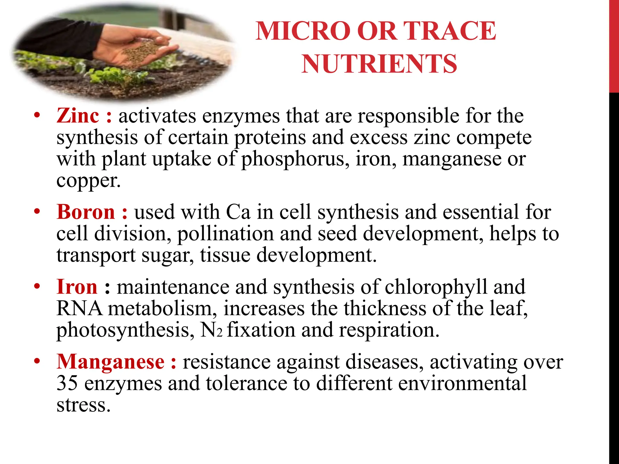 plant nutrition, their role and deficiency symptoms - balanced ...