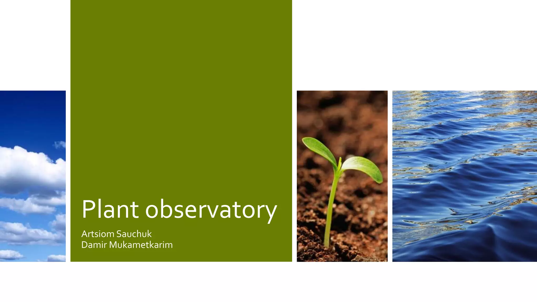 Plant observatory(mini project) | PPTX