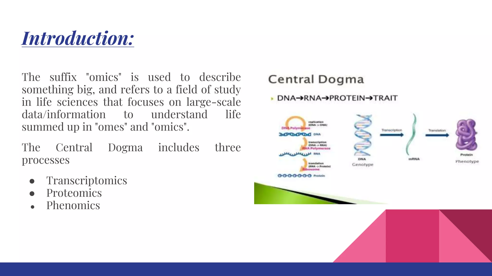 Plant Omics .pptx | Genetics | Science