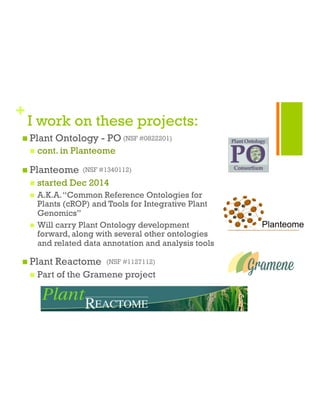 Plant ontology web services on Araport | PDF