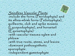 Plant Organization | PPT