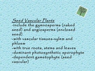 Plant Organization | PPT