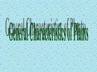 Plant Organization | PPT