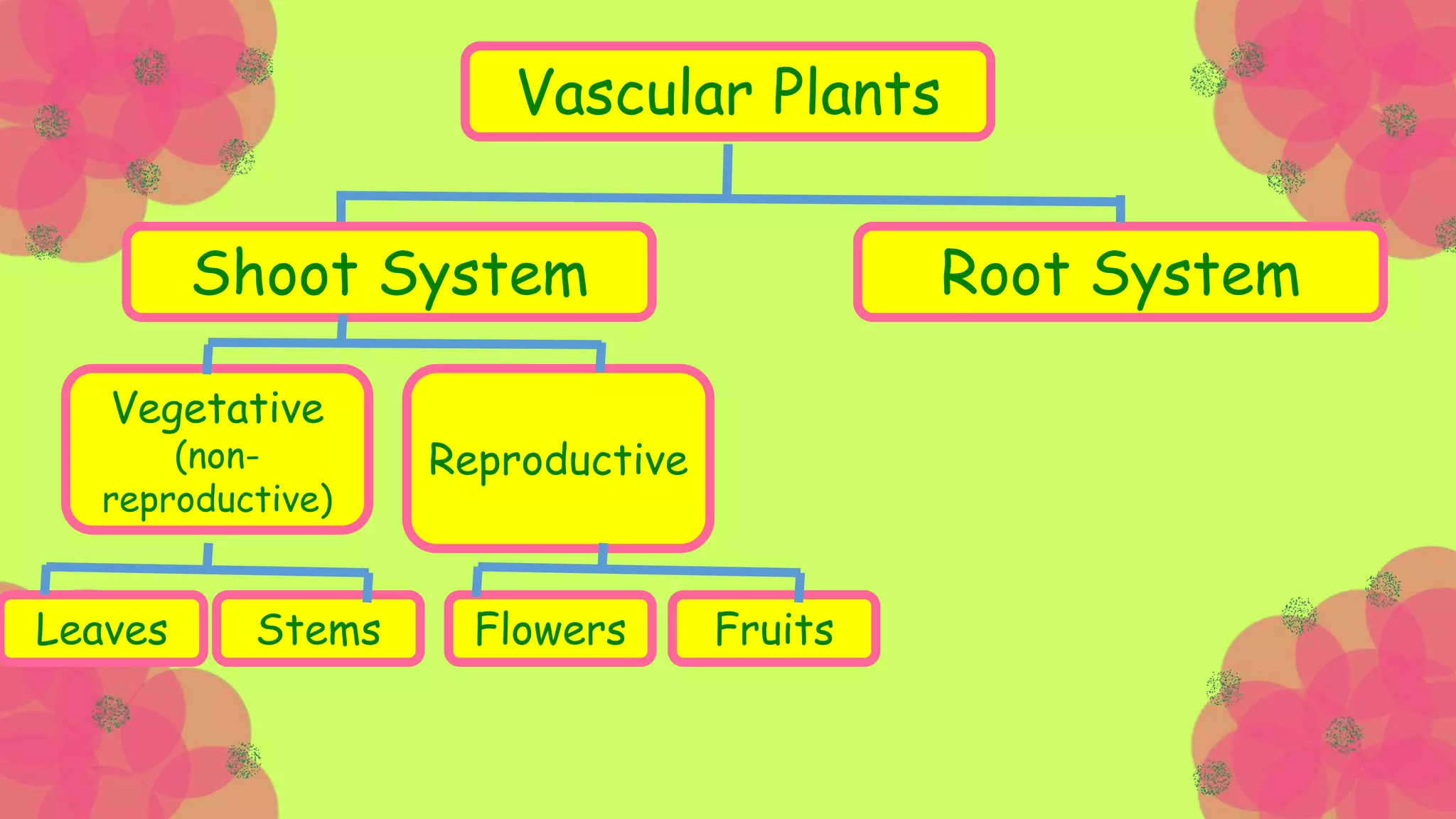 Plant Organs and Metabolic Processes | PPTX
