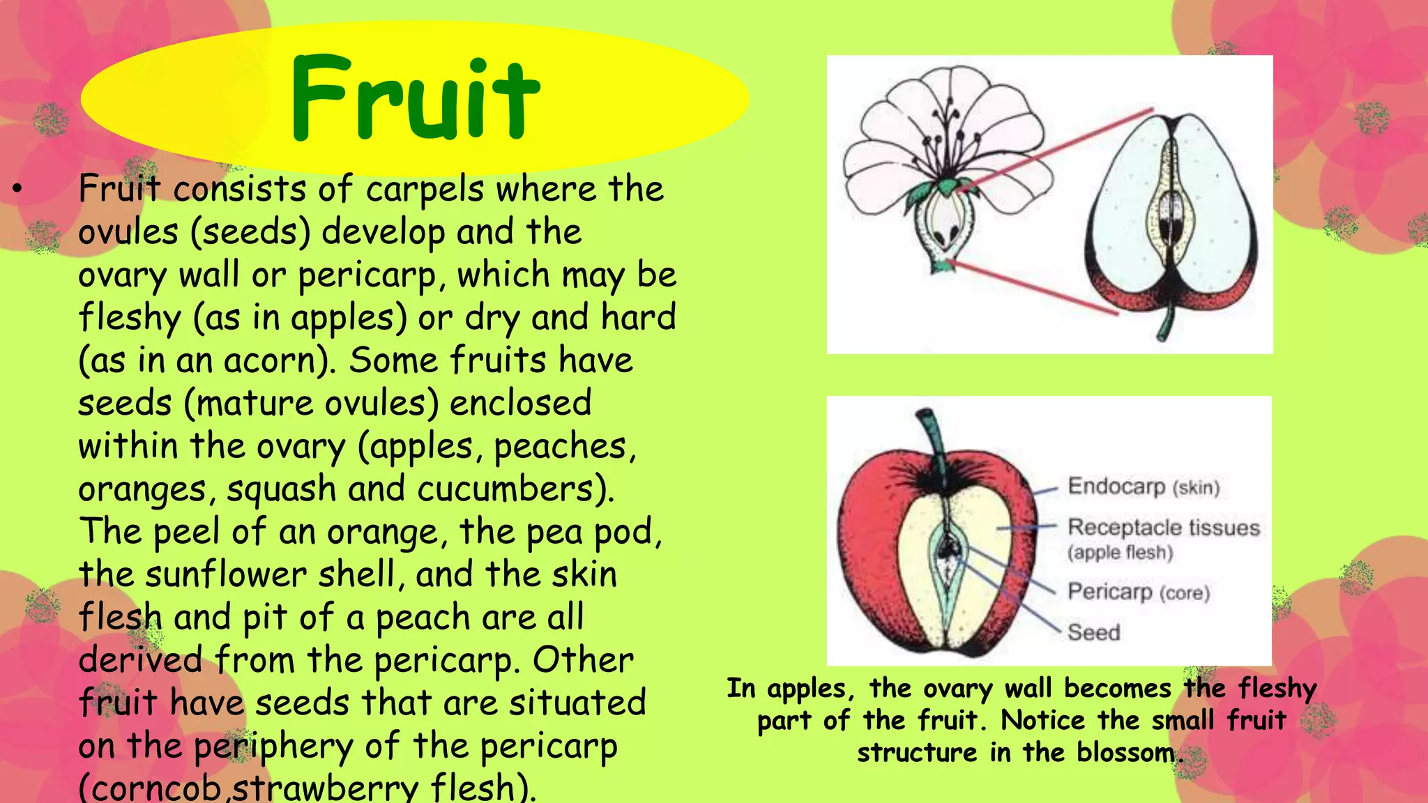 Plant Organs and Metabolic Processes | PPTX