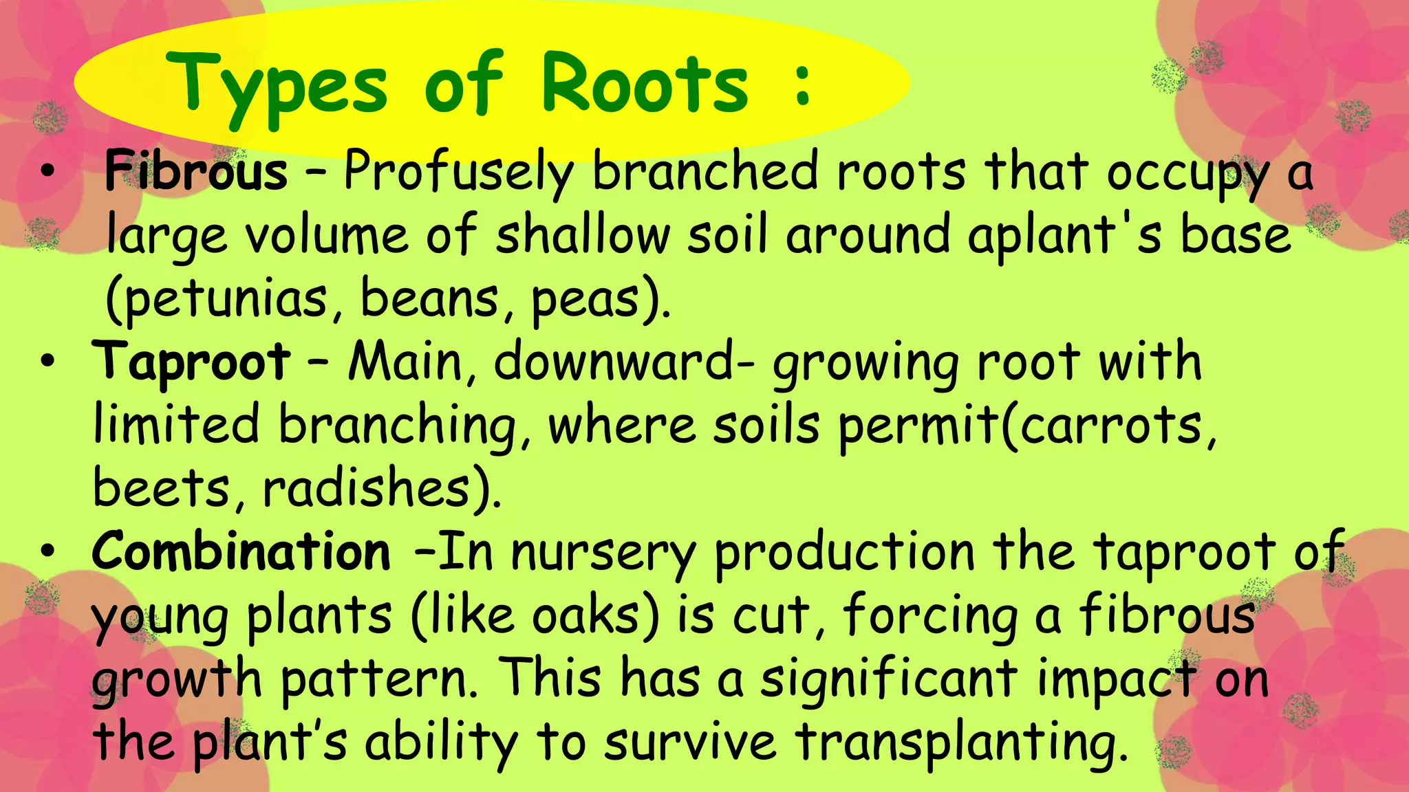 Plant Organs and Metabolic Processes | PPTX