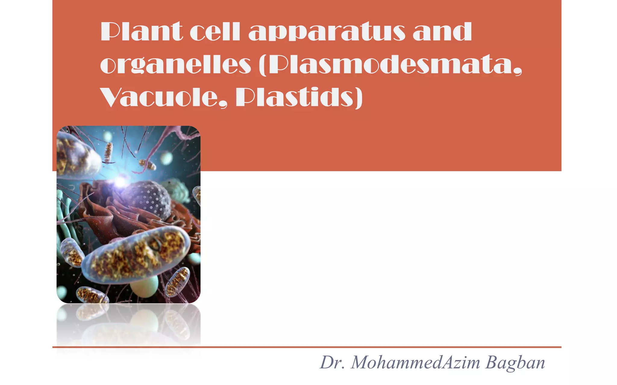 Plant organelles (Plasmodesmata, Vacuole, Plastids) | PDF