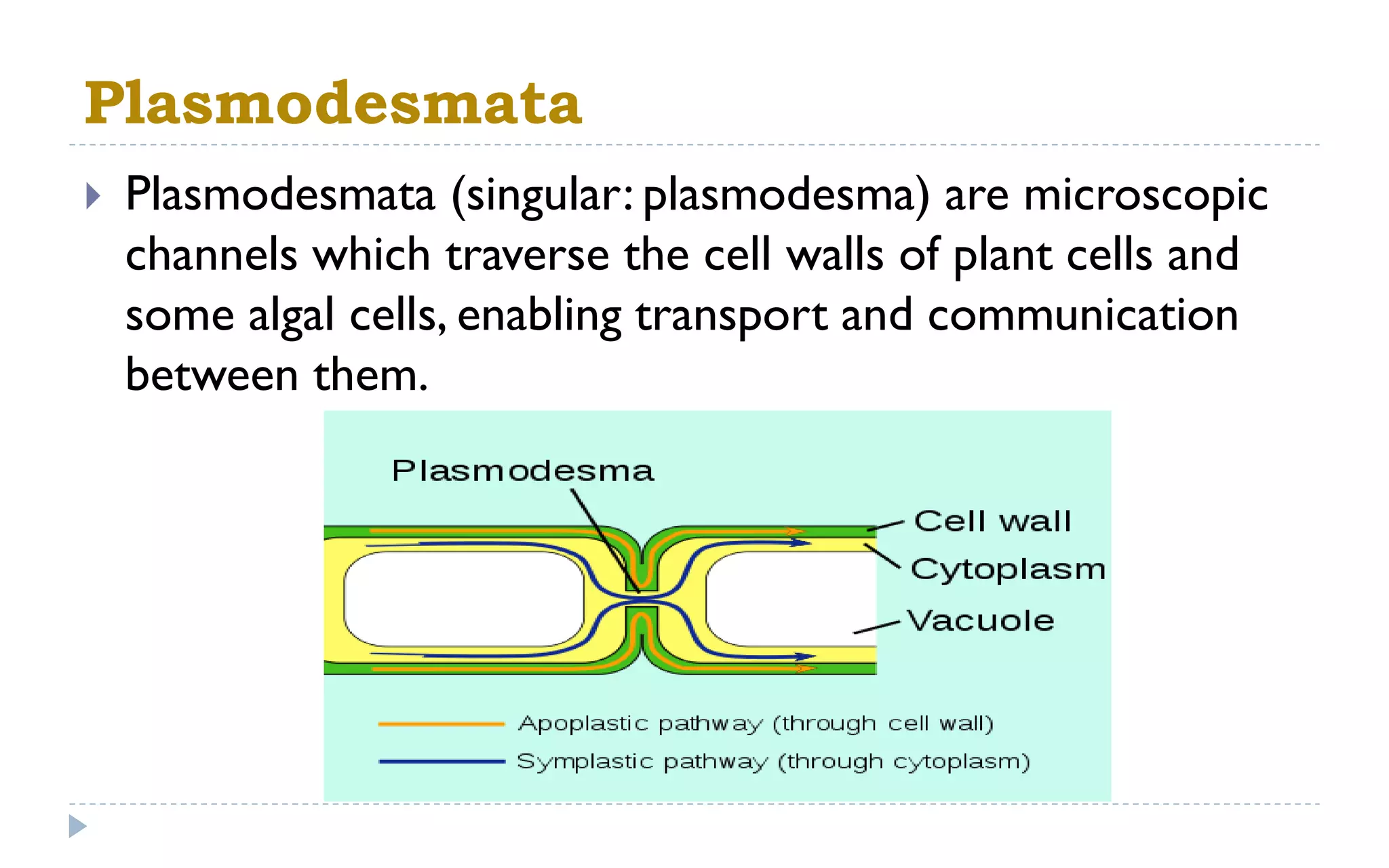 Plant organelles (Plasmodesmata, Vacuole, Plastids) | PDF