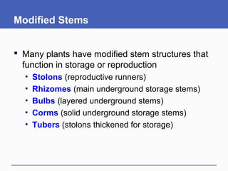 Plant org lab tz | PPT