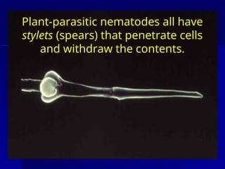 plant_parastic_nematodes and their management | PPT