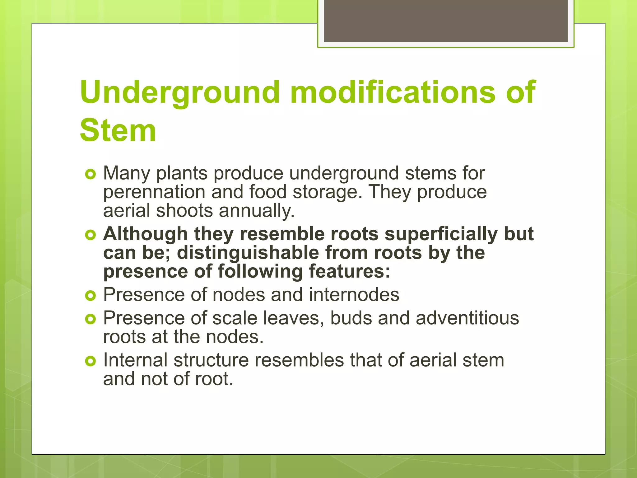 plant part modifications.pptx
