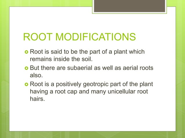 plant part modifications.pptx