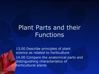 Plant Parts | PPT