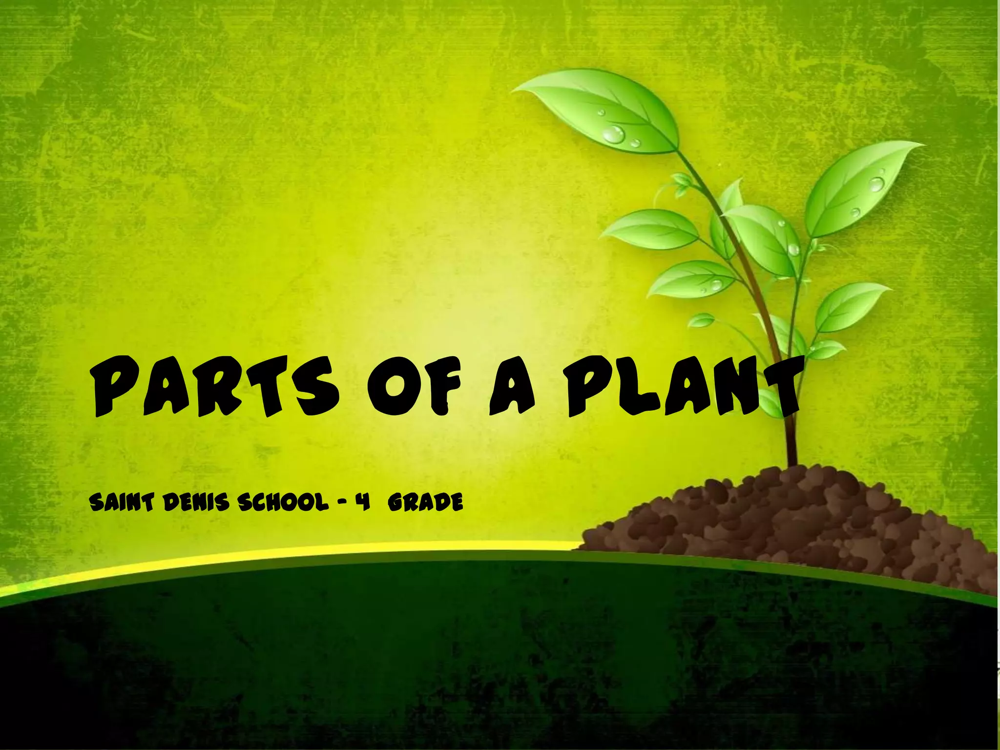 Plant parts | PPTX