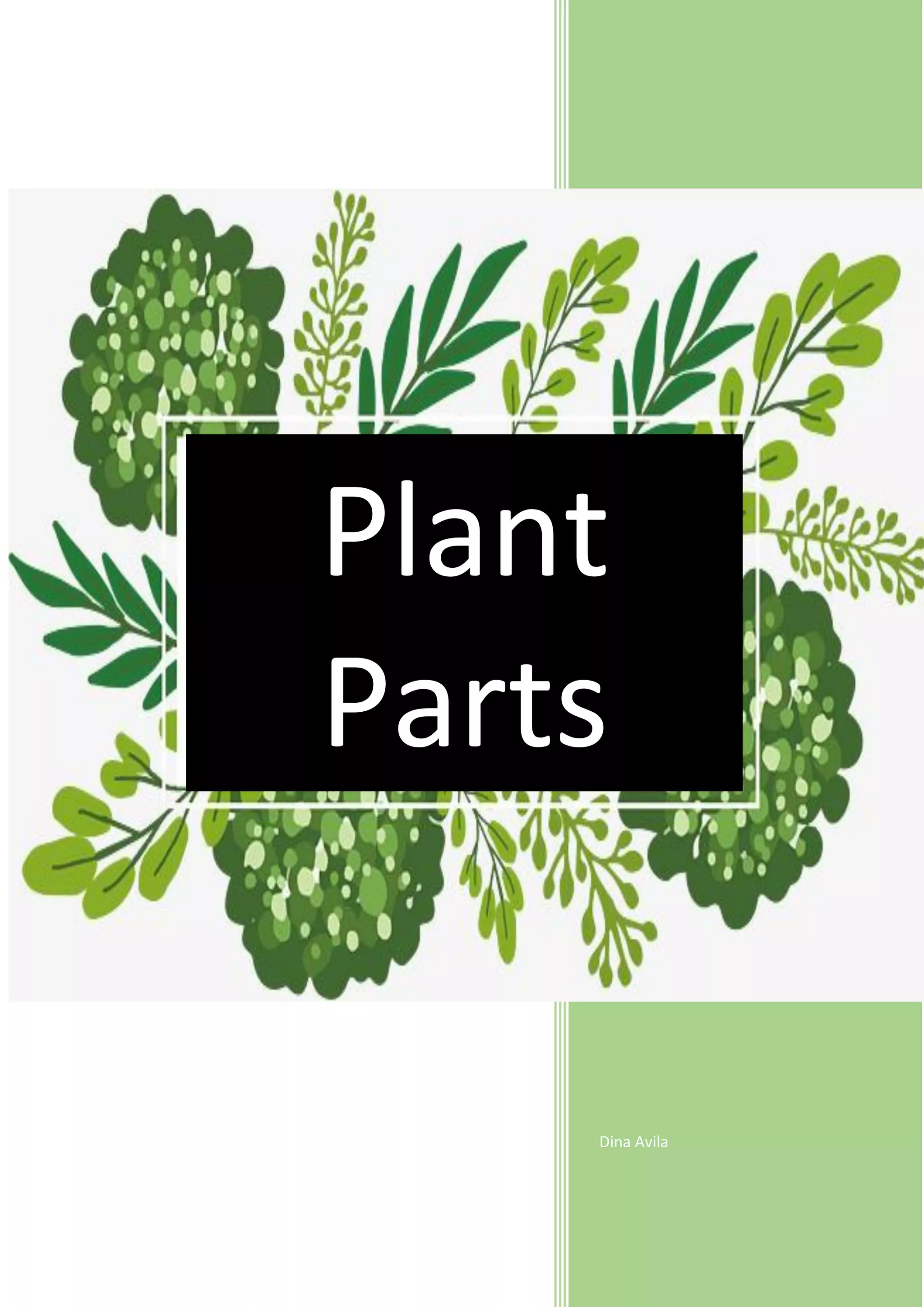 Plant parts | PDF