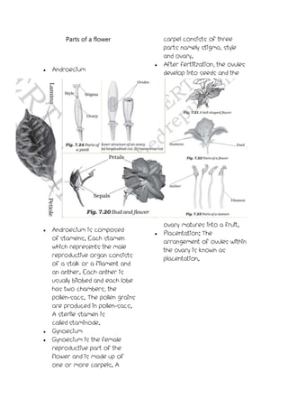 Plant parts | PDF