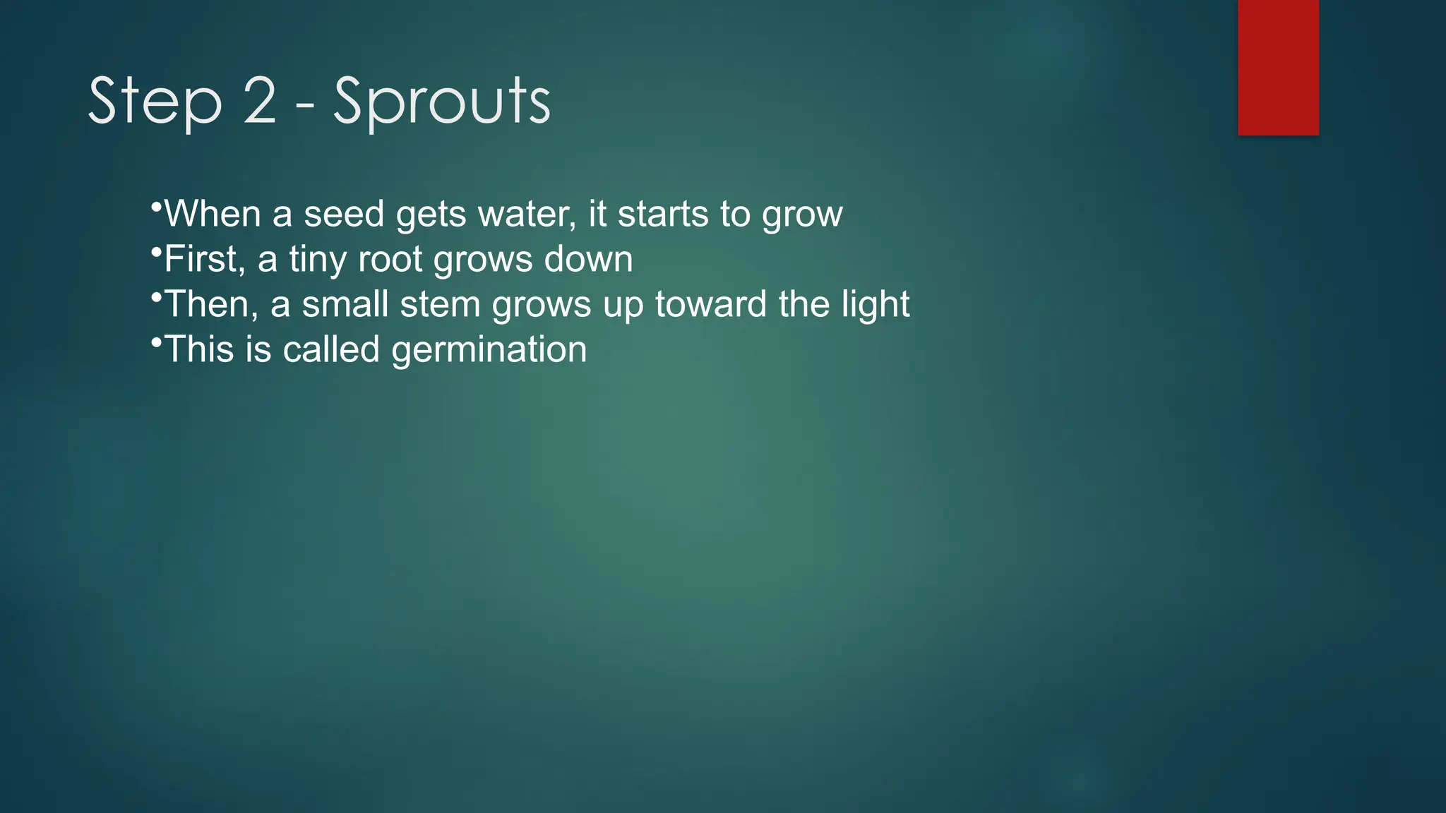 Plant Parts and Life Cycle Grade 1 Lesson (Quarter 4) | PPTX