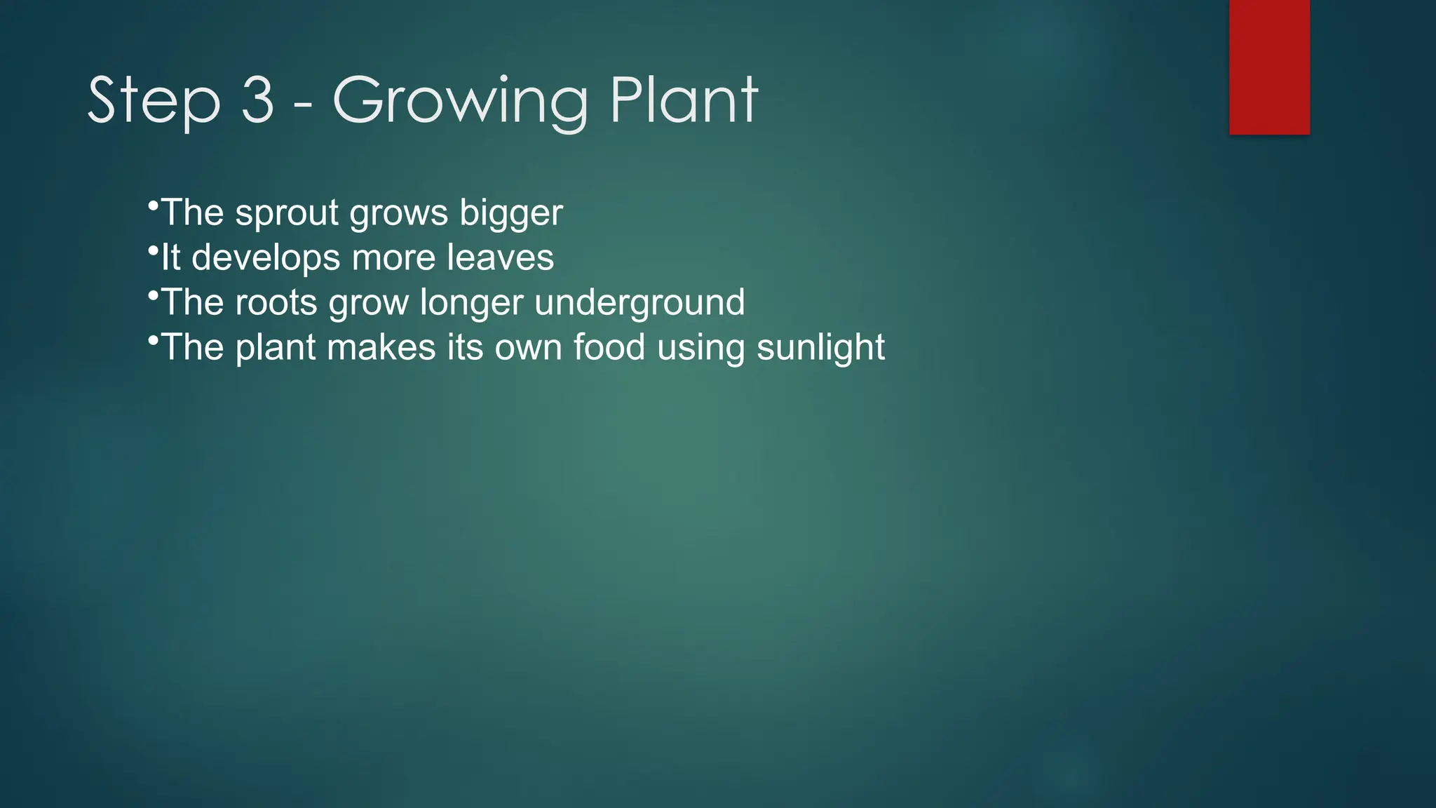 Plant Parts and Life Cycle Grade 1 Lesson (Quarter 4) | PPTX