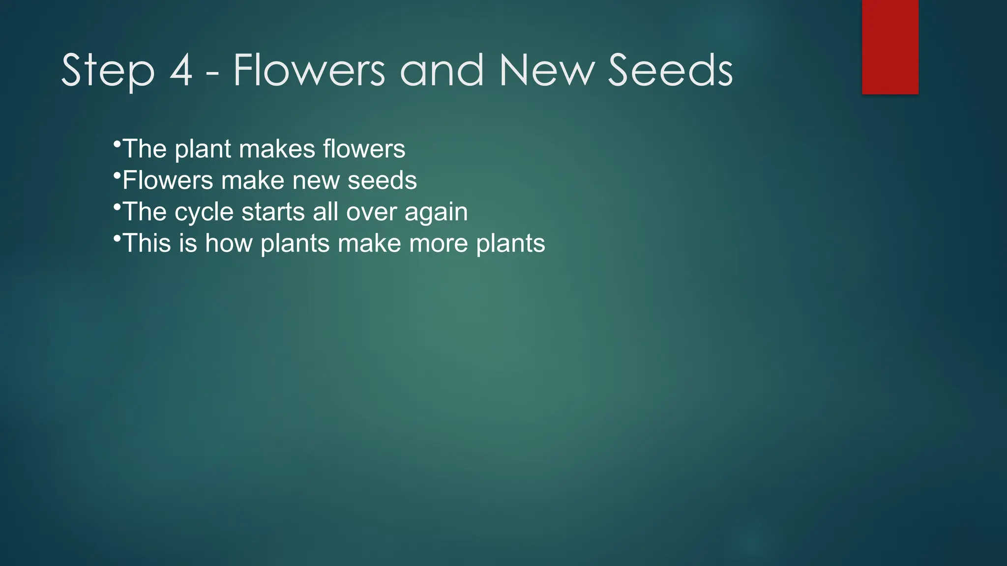 Plant Parts and Life Cycle Grade 1 Lesson (Quarter 4) | PPTX