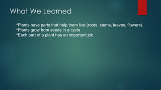 Plant Parts and Life Cycle Grade 1 Lesson (Quarter 4) | PPTX