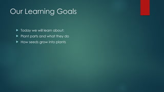 Plant Parts and Life Cycle Grade 1 Lesson (Quarter 4) | PPTX