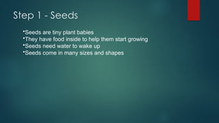 Plant Parts and Life Cycle Grade 1 Lesson (Quarter 4) | PPTX