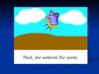 Parts of a Plant | PPT